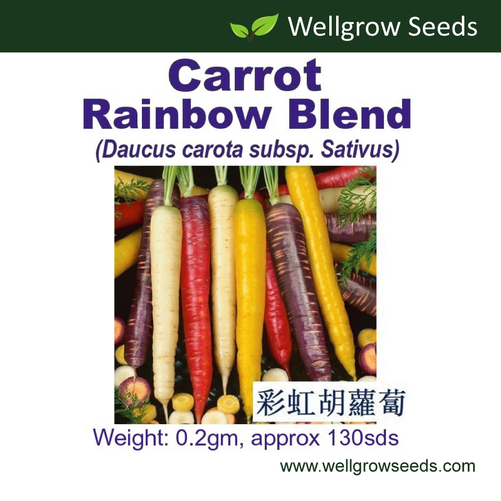 Carrot Rainbow Blend (0.2gm approx 130sds) 彩虹胡蘿蔔 Lobak Vegetable Seeds ...
