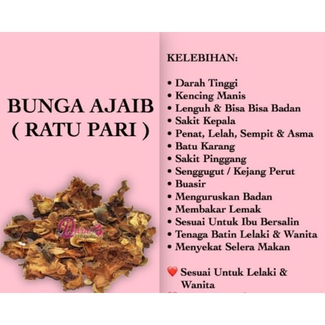 BUNGA RATU PARI/BUNGA MUKMIN 50g/250g | Shopee Malaysia