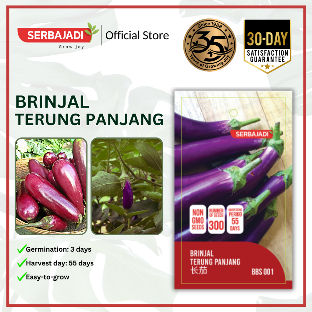 Biji Benih Sayur Terung Panjang - Vegetable Seed Brinjal SERBAJADI - 1g ...