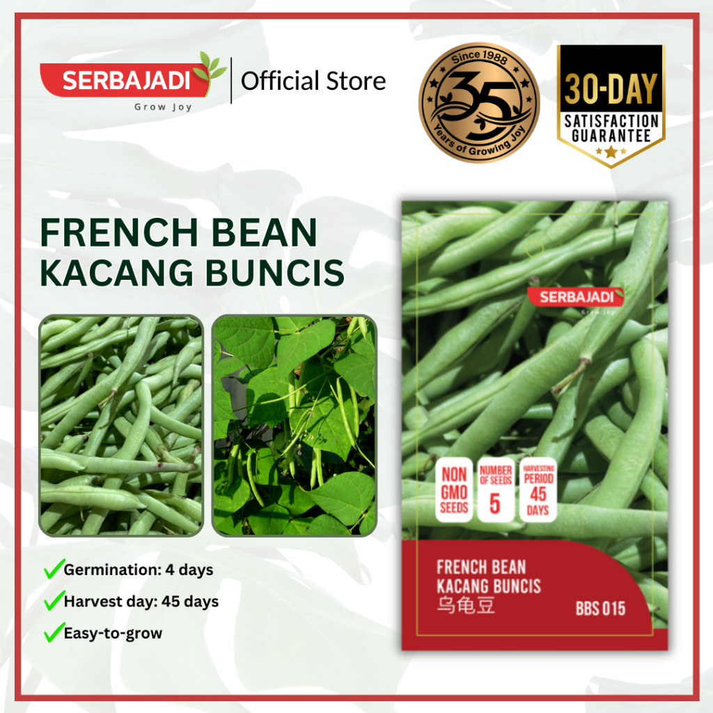 Biji Benih Sayur Kacang Buncis - Vegetable Seed French Bean SERBAJADI ...