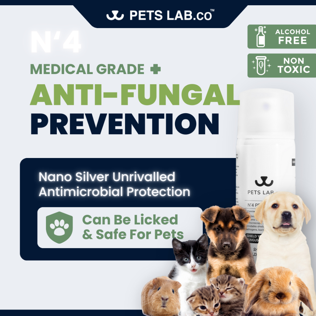 Pets Lab.co™ N4 PRO SHIELD (50g) | Anti-Fungal Prevention Nano Spray ...