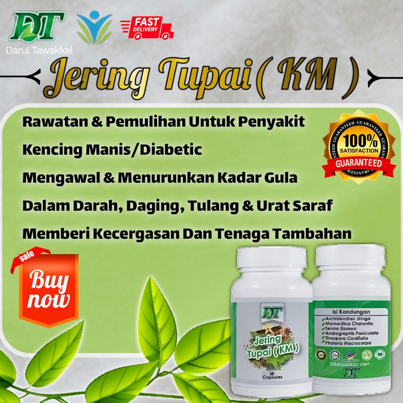 JERING TUPAI UBAT KENCING MANIS | PENAWAR DIABETIS | PERIA KATAK ...