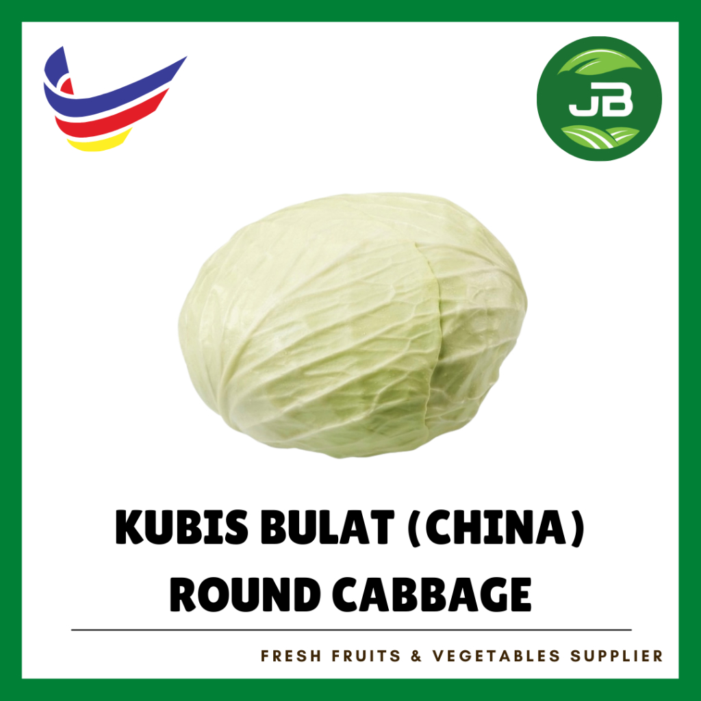Kubis Bulat 圆白菜 1PCS Cabbage | Shopee Malaysia