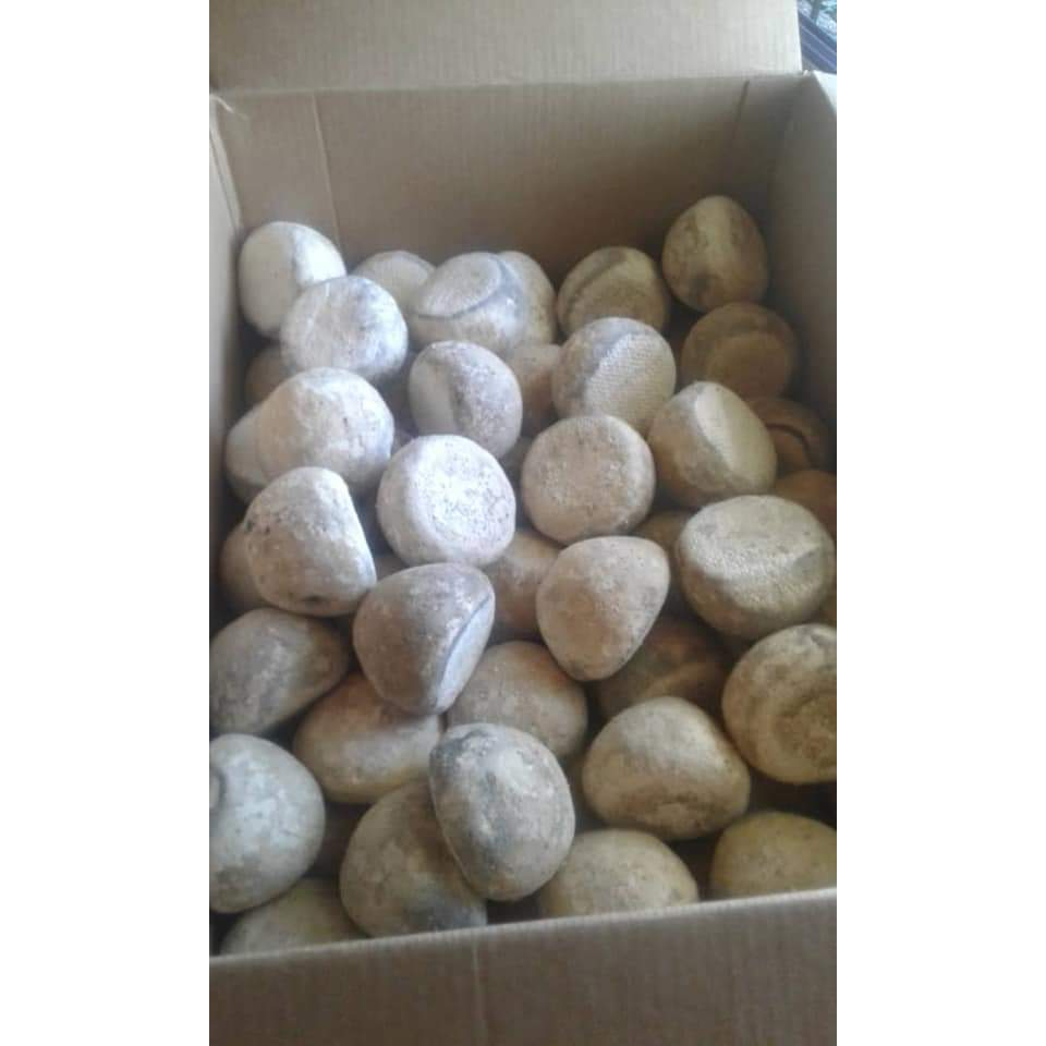 Ragi/ Ubat Minuman Tradisi Sabah/ Ragi/ Sasad Pahit Manis | Shopee Malaysia