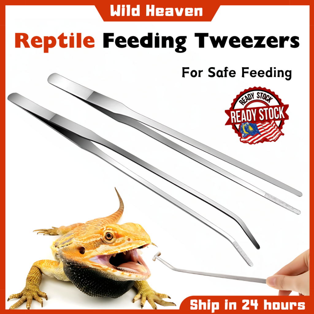 Reptile Feeding Tweezers Stainless Steel Feeder Snake Lizard Scorpion ...