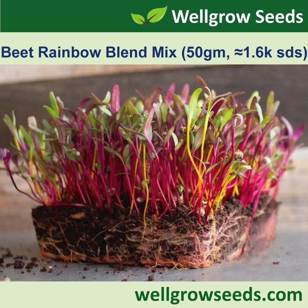 Well Grow Seeds