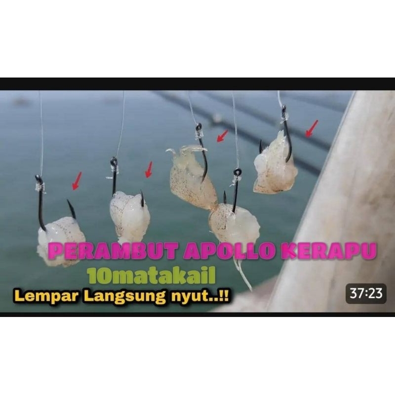 10 matakail PERAMBUT wire APOLLO KERAPU [Style 'RAWAI RAMBANG '](20lb ...