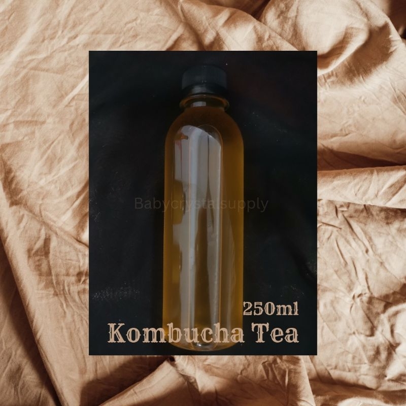 Premium Kombucha Tea 250ml Teh Kombucha probiotic ready to drink HALAL ...