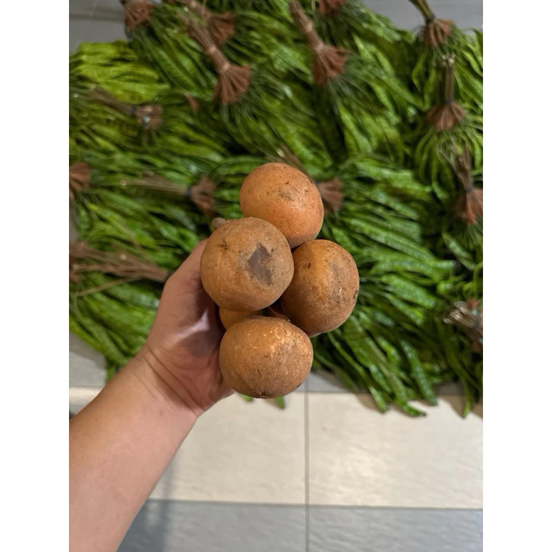 Tampoi isi putih 1kg+- baru | Shopee Malaysia
