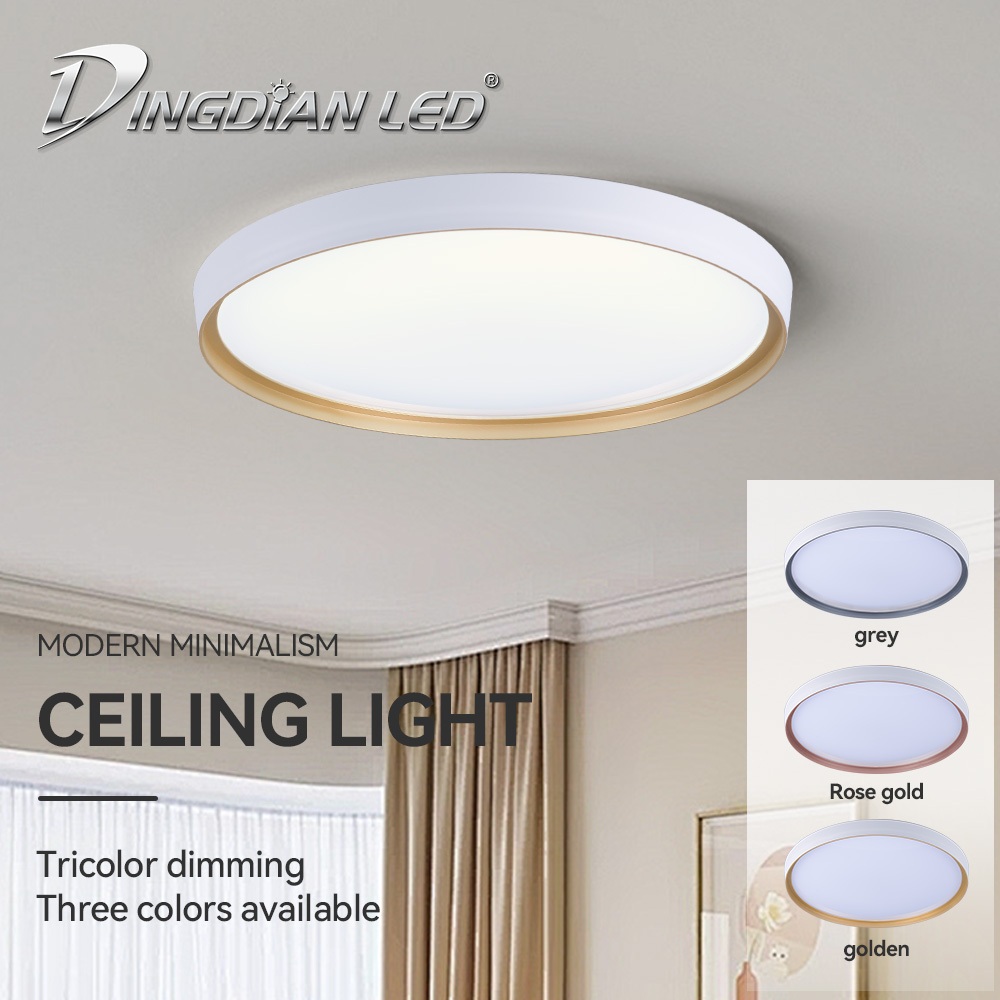 Dingdian LED Modern Ceiling Light 3 Colors Surface Mounted Panel Lamp ...