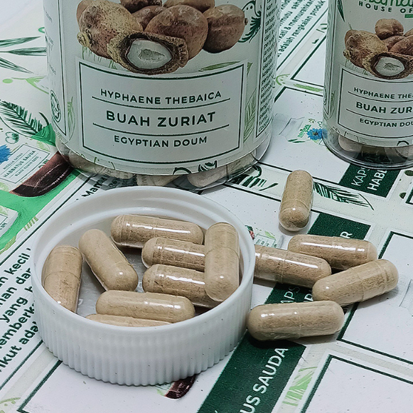 Kapsul Buah Zuriat Ikhtiar Hamil / Egyptian Doum / Hyphaene Thebaica ...