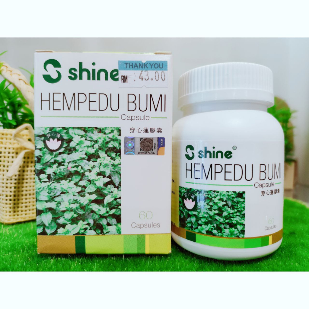 Shine Hempedu Bumi Shine 穿心莲胶囊 | Shopee Malaysia