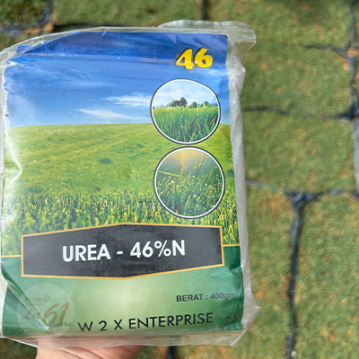 [Paling Horticulture Sdn Bhd] Grass Fertilizer | Urea Baja Rumput l ...