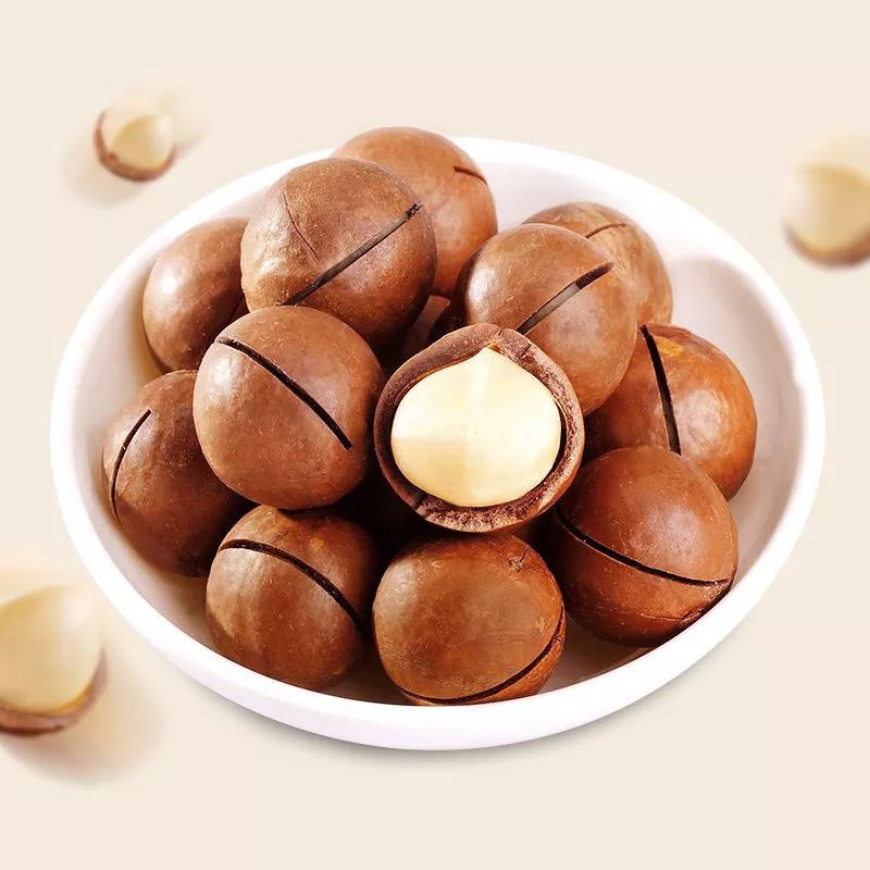 [Australian Macadamias] 500gram macadamia Nuts with shell 澳大利亚烤夏威夷果 ...