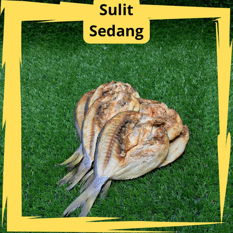 IKAN MASIN SULIT/SULIK BARU. SABAH | Shopee Malaysia