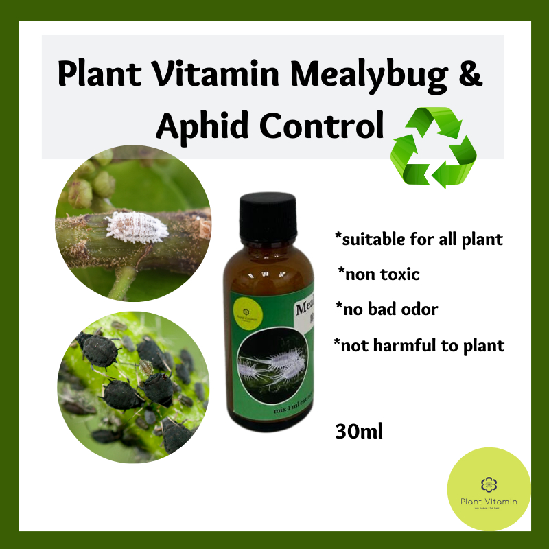 Mealybug & Aphid🐛 Pesticide Organic Plant Insect Repellent Spray ...