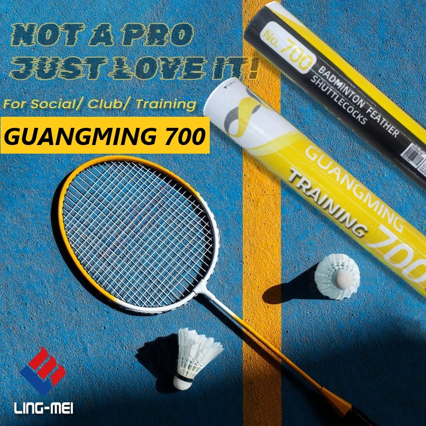 Ling-Mei Shuttlecock Badminton Bulutangkis Shuttle 12 pcs Ling mei ...