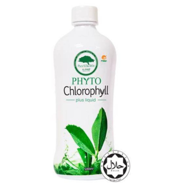 PHHP Phyto Chlorophyll Plus Liquid 1 Bottle 500ml | Shopee Malaysia