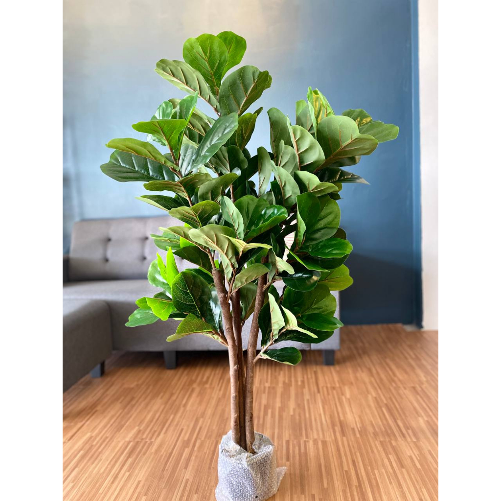 Premium Artificial Plant Fiddlefig Leaves | Fiddle Fig Tree | Pokok ...