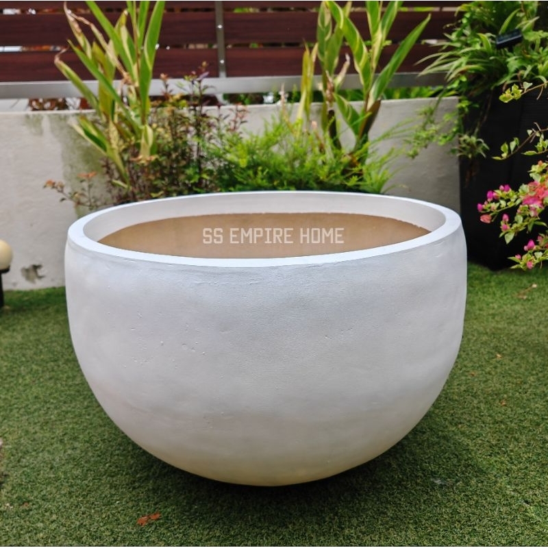 REX FP15 Tall White Fiberglass White Round Lotus Water Lily Plant ...