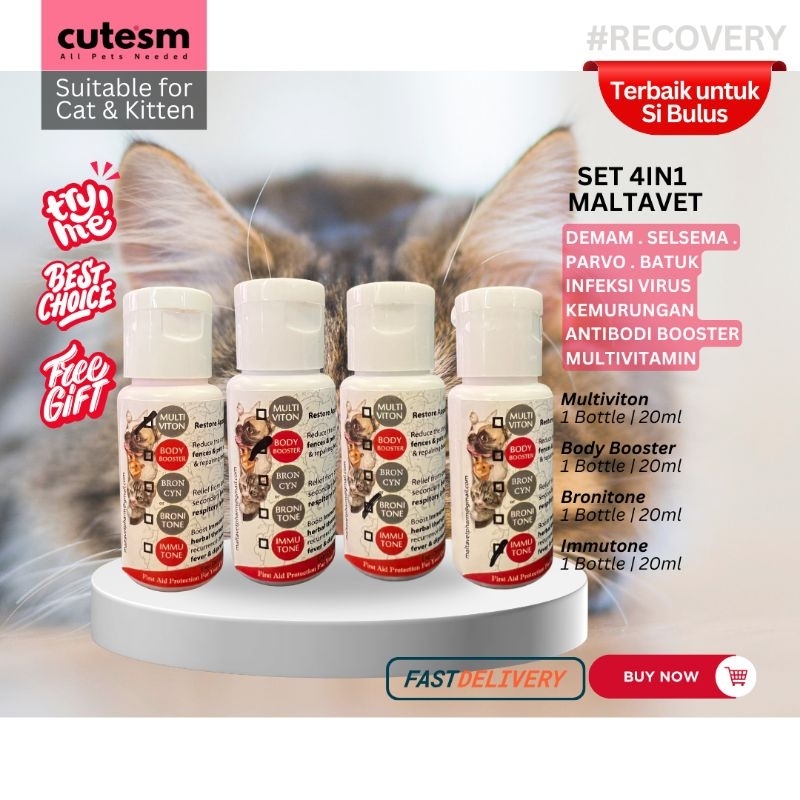 CAT & KITTEN PETCARE 4IN1 RAWATAN DEMAM,SELSEMA,BATUK,BOOSTER ...