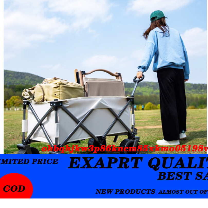 （Ready Stock ）outdoor foldable trolley camping trolley Foldable Small ...