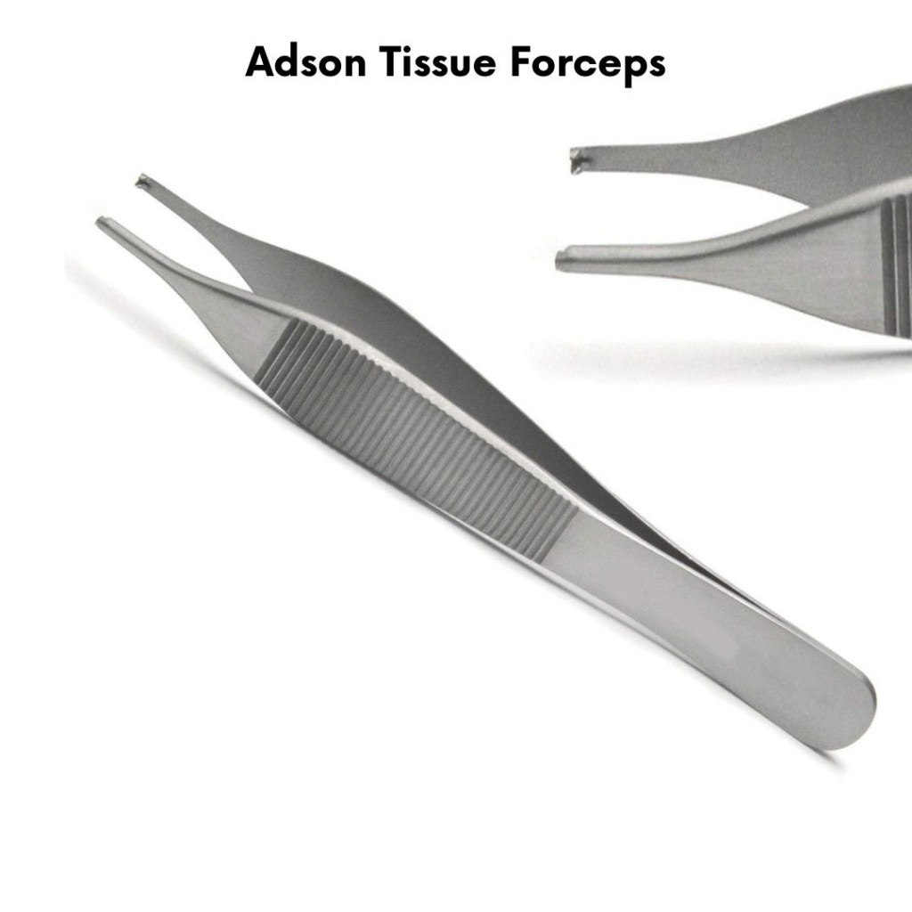 Adson Kocher Tissue Forceps Stainless Steel Surgical 12 cm Anatomic ...