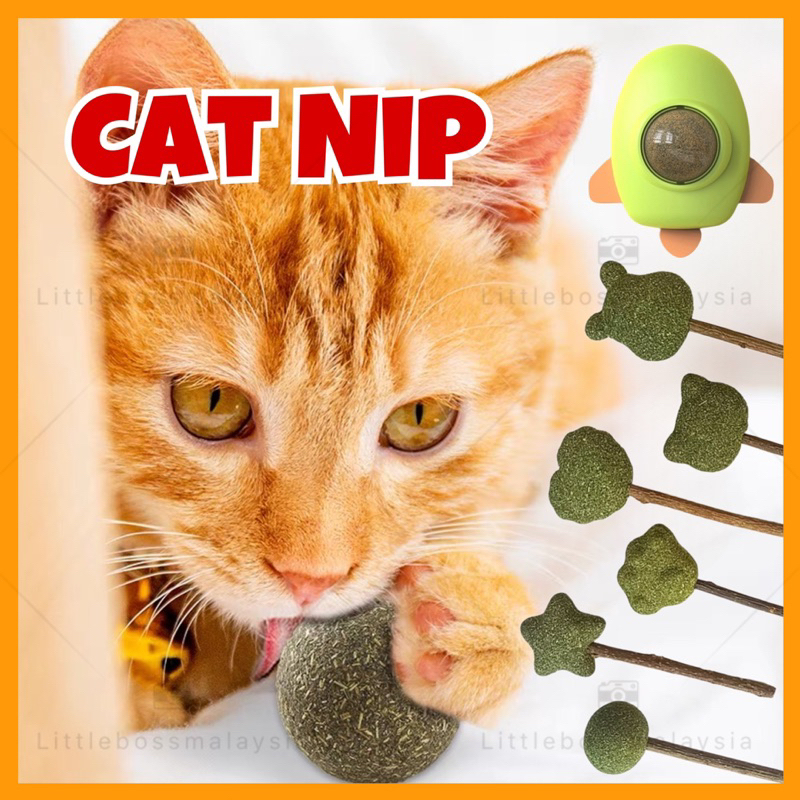 🔥ready Stock🔥cat Catnip Cat Snack Ball Cat Mint Ball Cat Mint Toys
