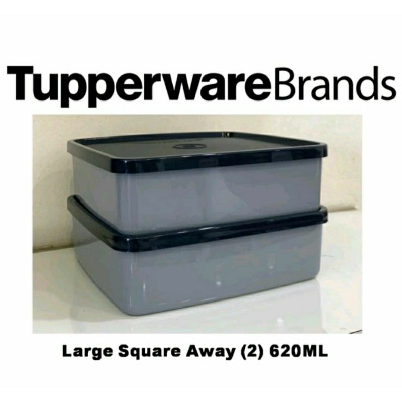 Tupperware Large Square Away 620ml 2pcs | Shopee Malaysia
