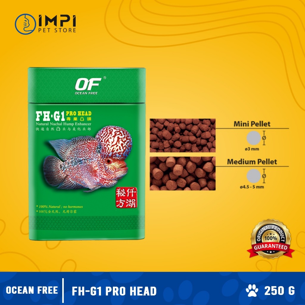 OCEAN FREE FH-G1 Pro Head Natural Nuchal Hump Enhancer (250G) | Shopee Malaysia