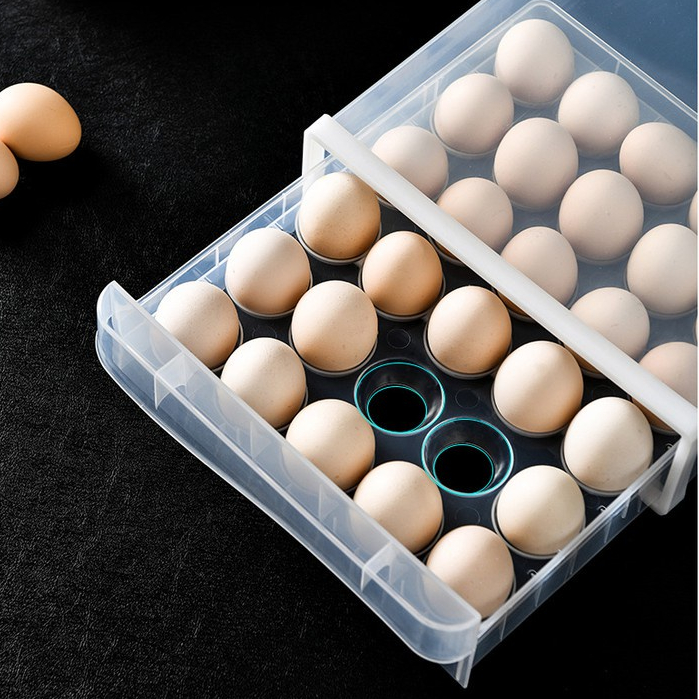 [Wahi Homeware] 30/60 Biji Rak Telur Egg Storage Box Bekas Telur Food ...