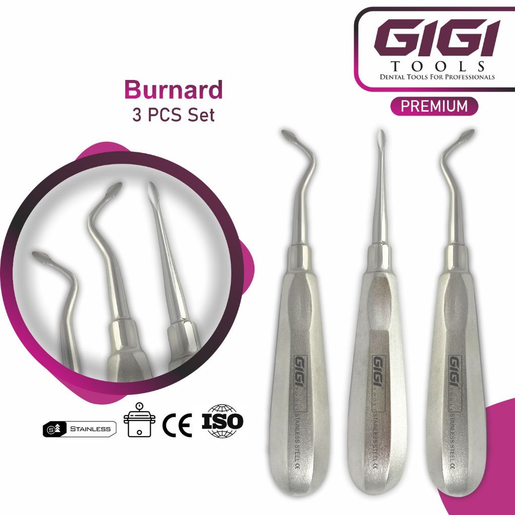 GIGI TOOLS Dental Burnard Elevators 3 Pcs Set Regular Left & Right ...