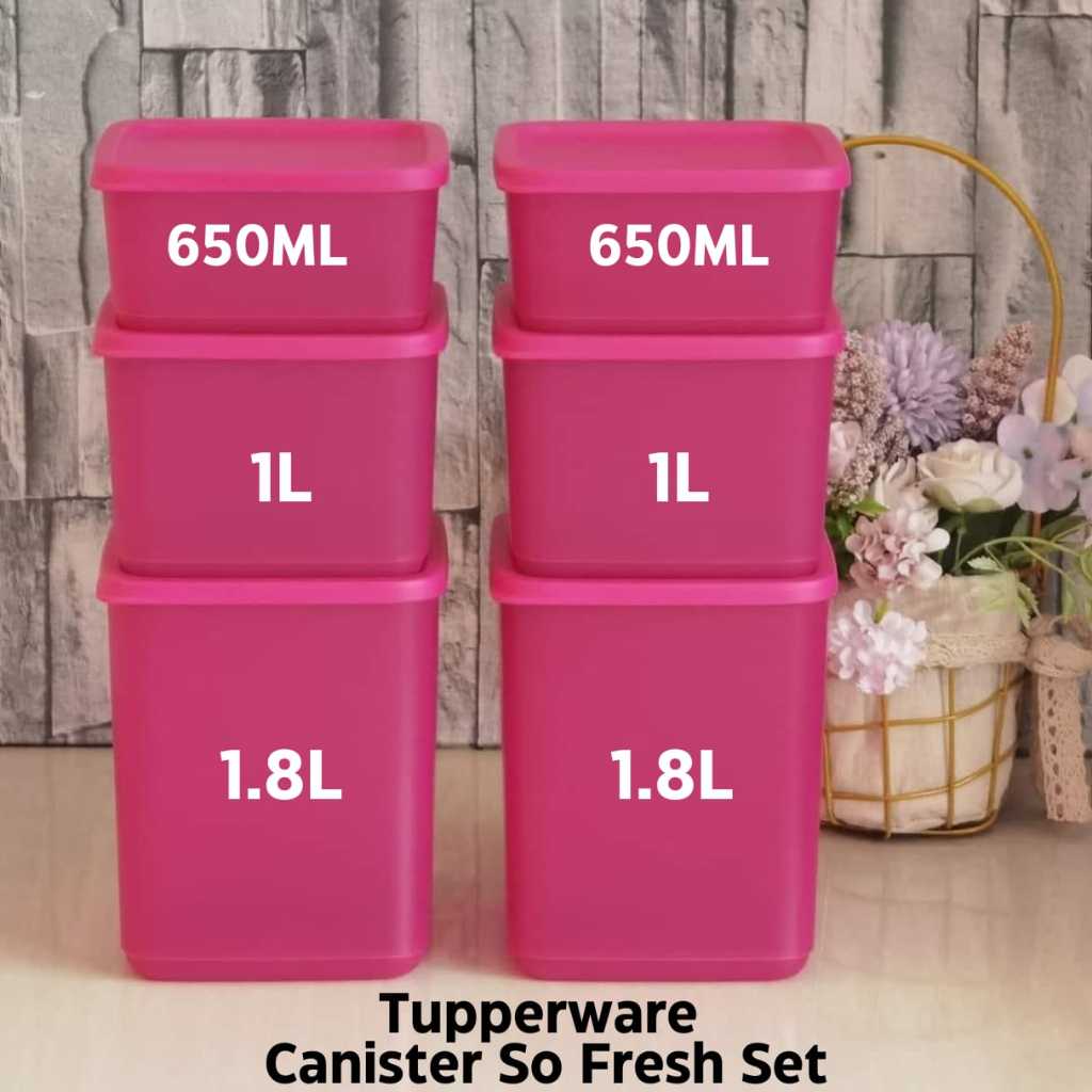 Tupperware Canister So Fresh Set (1 pc) | Shopee Malaysia