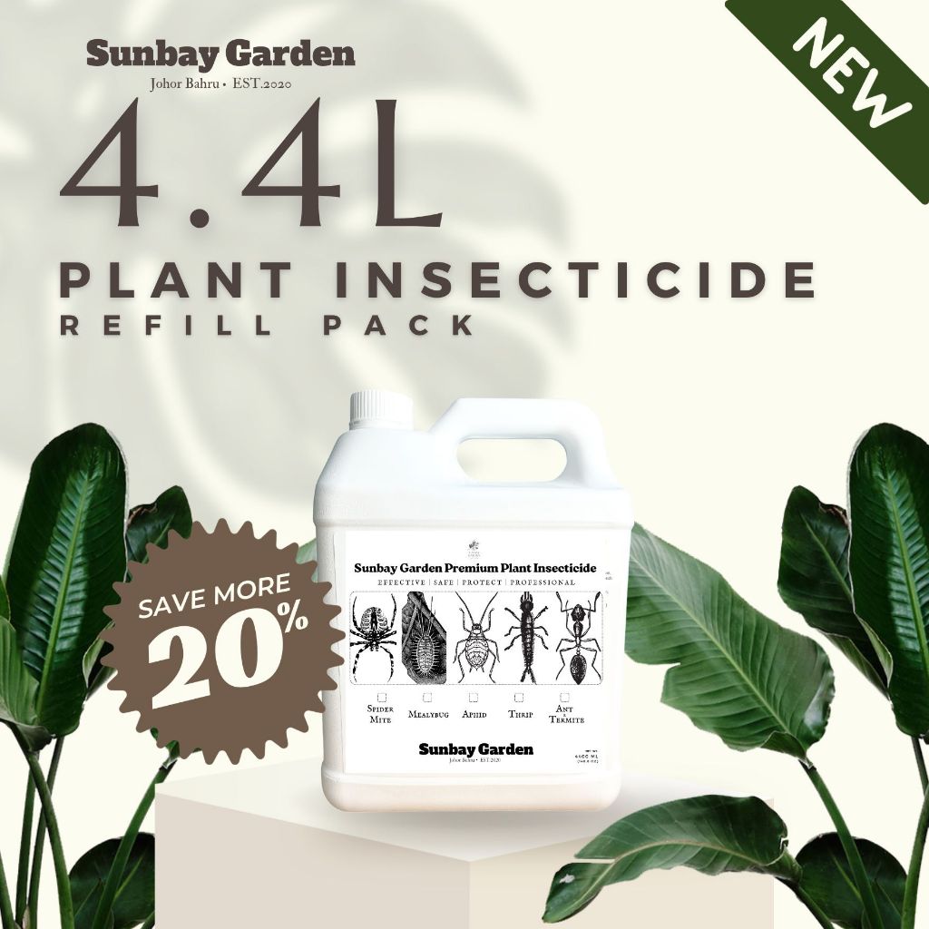 【Pesticide】Spider Mite 红蜘蛛 / Mealybugs 介壳虫 / Ahpid 蚜虫 / Thrip 蓟马 / Ant ...