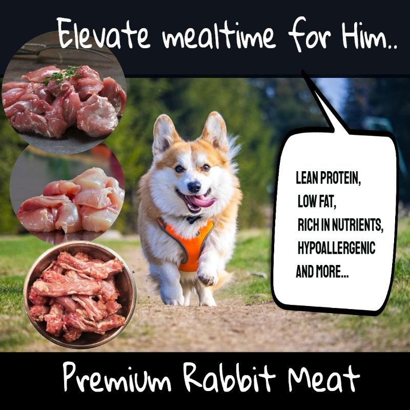 5Kg- Rabbit Meat Boneless for Dog and Cat food 🐕🦮🐕‍🦺🐈🐈🐈‍⬛ Fresh Raw ...