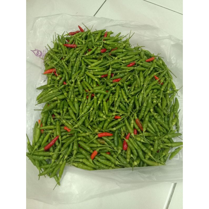 Cili Padi Kampung (20biji benih) | Shopee Malaysia