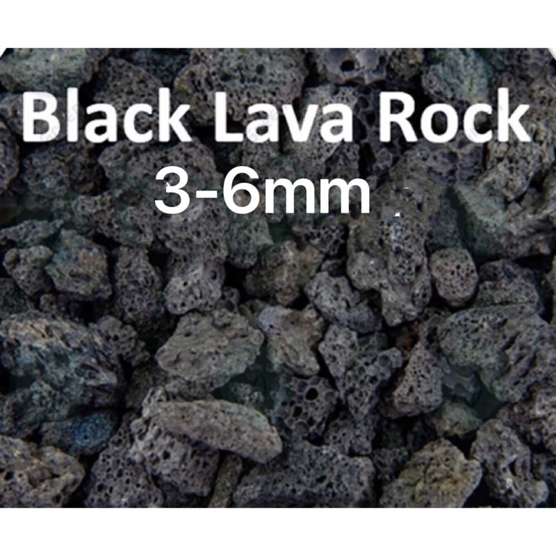 黑火山岩 3-6mm 500gm BLACK LAVA ROCK SOIL FOR CACTUS SUCCULENT Batu gunung ...