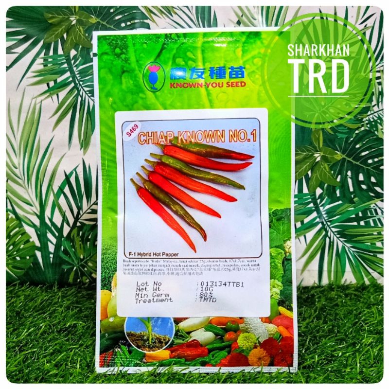 PROMO🔥 Paket 10g (1400 Biji) S469 CHIAP KNOWN NO.1 Biji Benih Cili ...