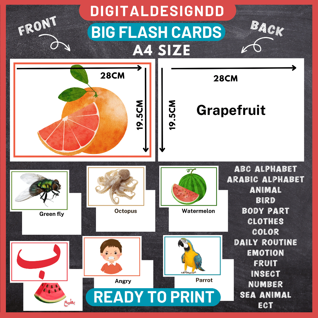 PDF BIG Flash Card for baby kids toddler preschool pdf flash card ...