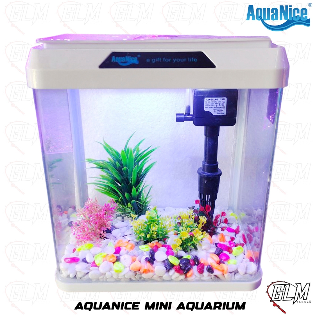 SOBO Mini Aquarium Set T-240F & AQUANICE Mini Aquarium Fish Tank Set ...