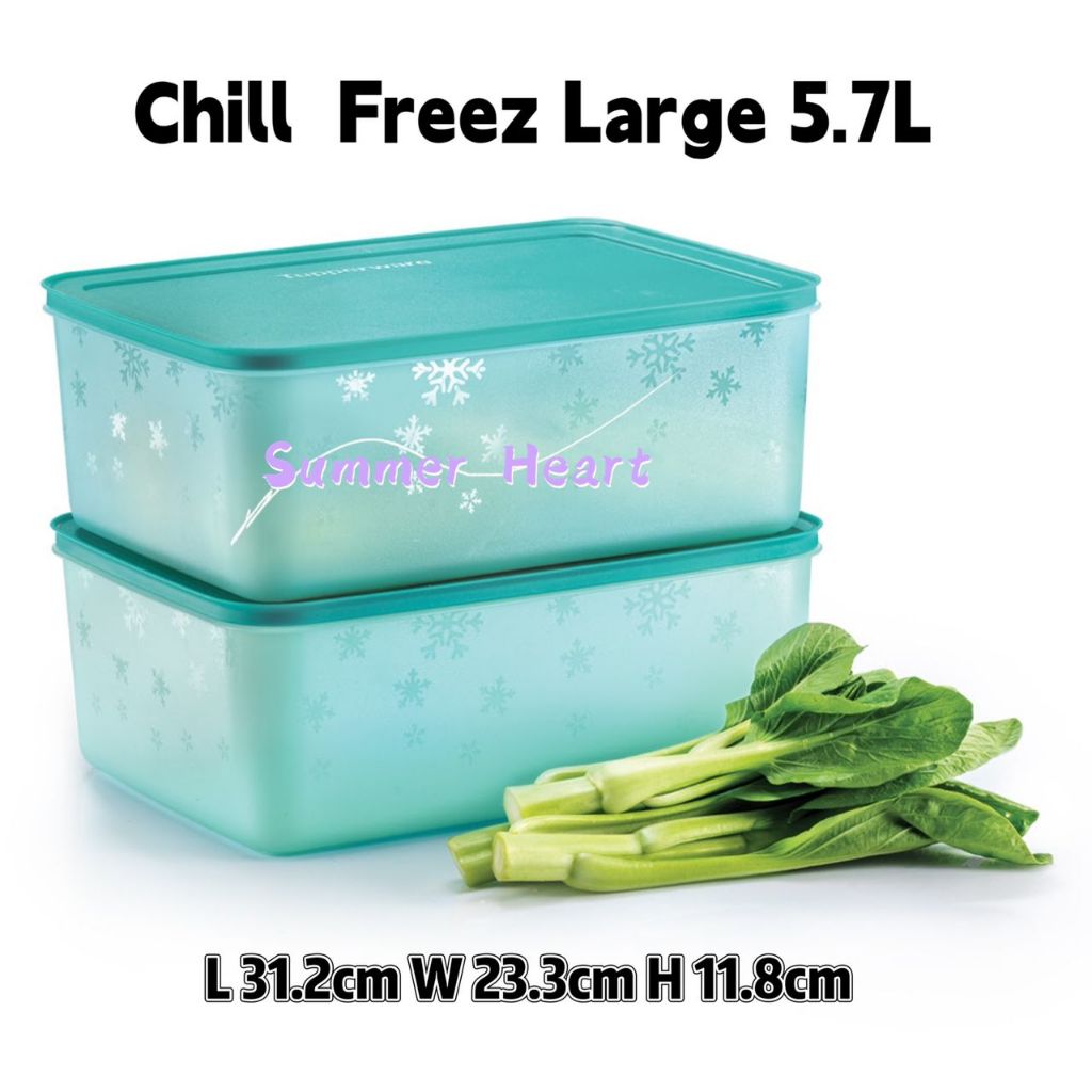 Tupperware Chill Freeze Large 5.7L (1pc) | Shopee Malaysia