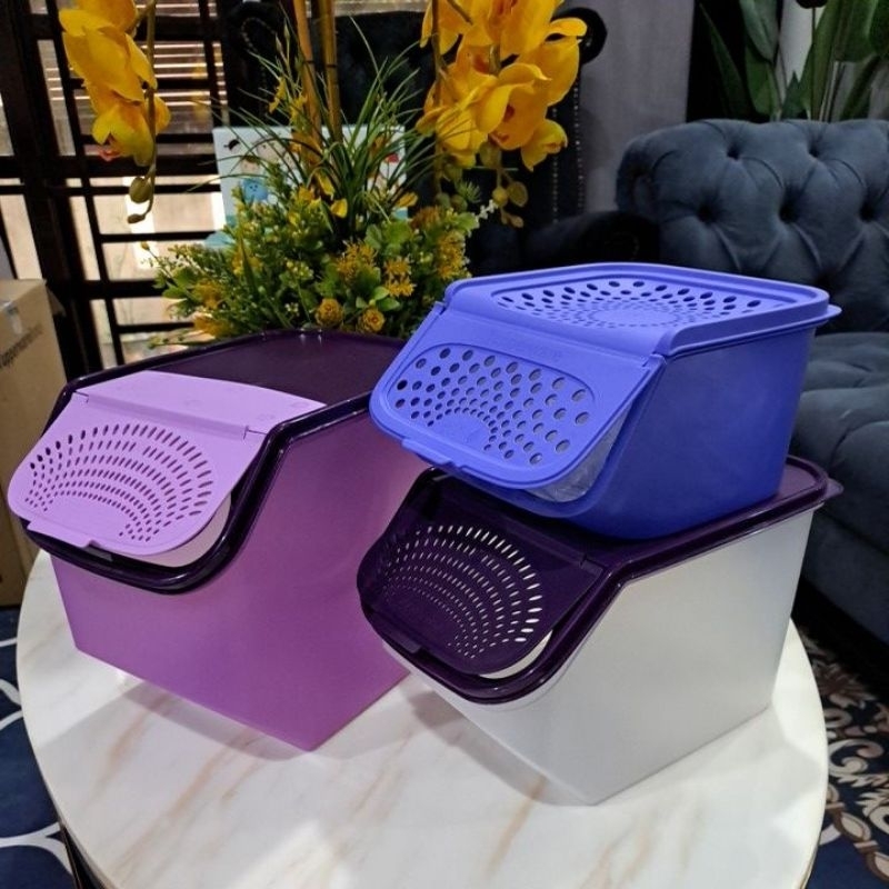 tupperware garlic keeper 2.3L (1pcs) | Shopee Malaysia