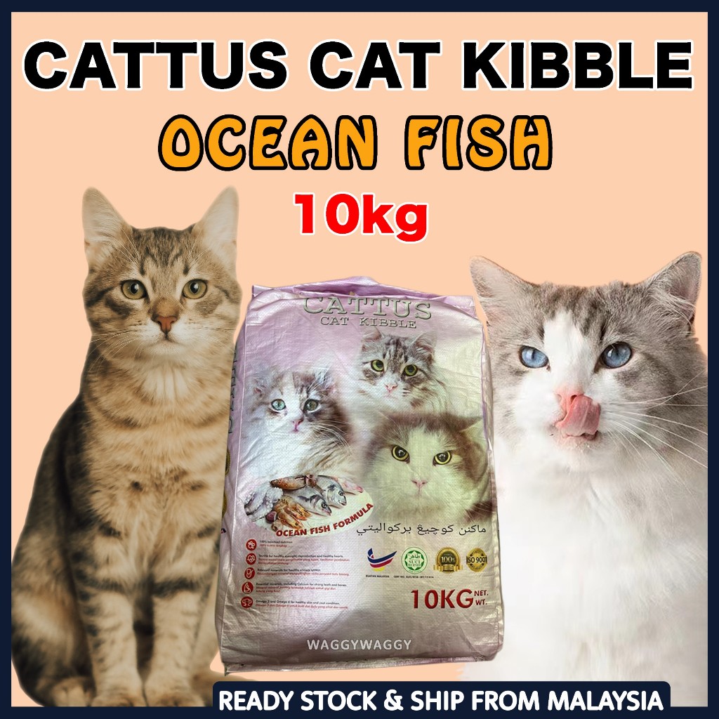 WaggyWaggy Cattus Cat Kibble 10kg Original Pack Ocean Fish Formula Milk ...
