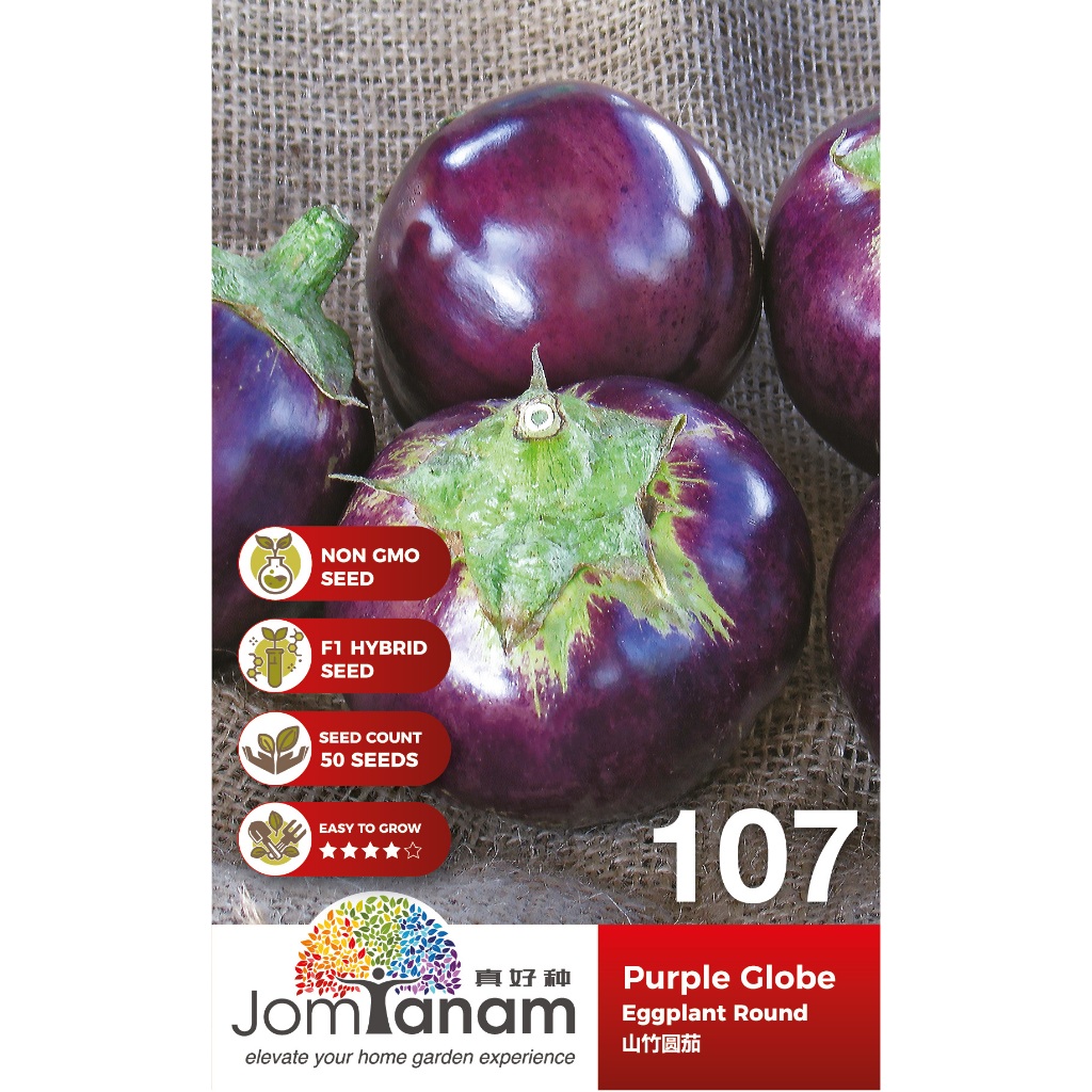 Eggplant Round Purple Globe JT-107 (50 Seeds) | Shopee Malaysia