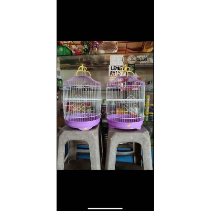 sangkar burung bagi merbuk kukur | Shopee Malaysia