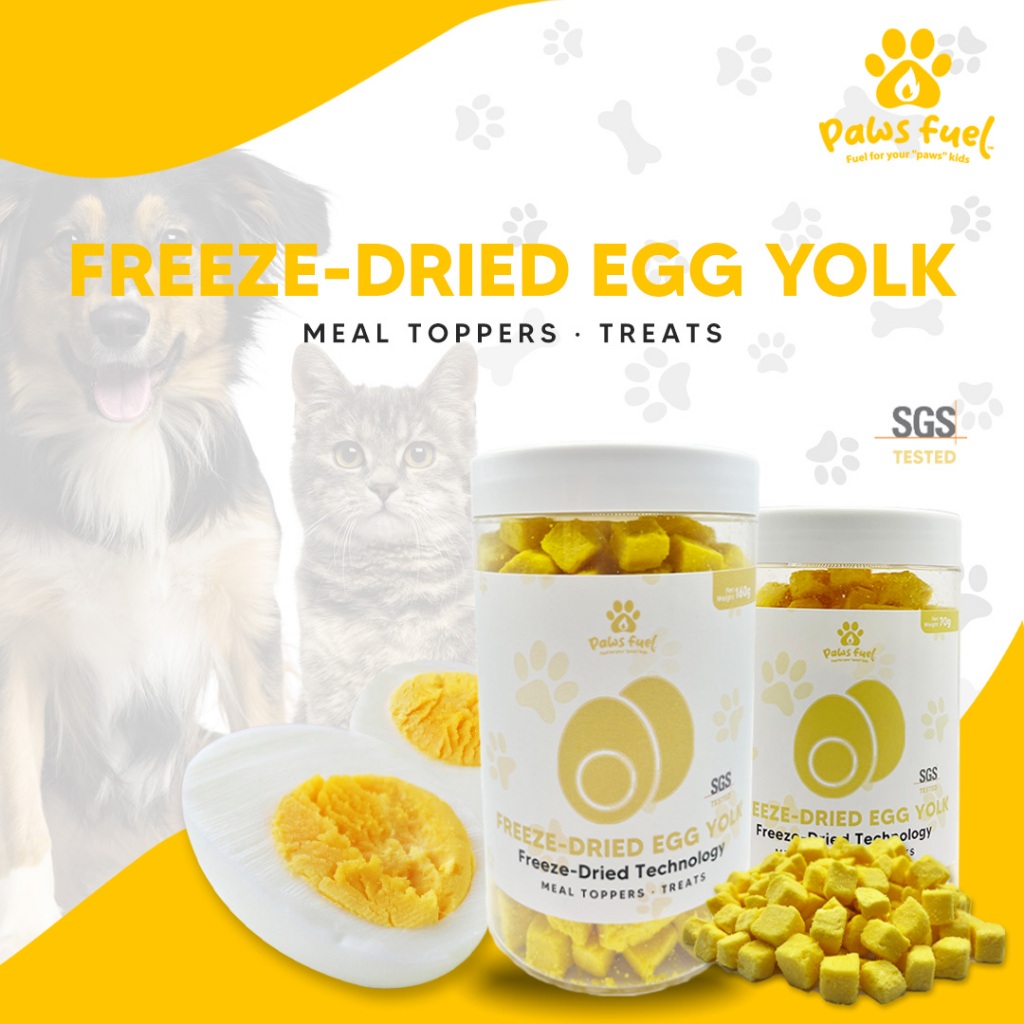 Pawsfuel Freeze-Dried Pet Treats - Egg Yolk (Cat Treats/Dog Treats/Pet Food) | Shopee Malaysia