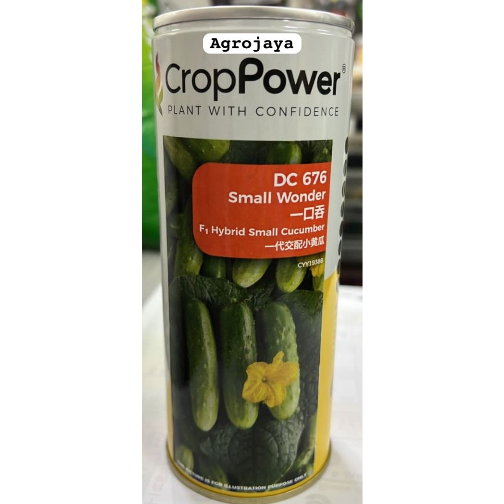 Benih Timun Baby/Cucumber Hybrid F1 DC 676 Small Wonder CROP POWER 100g ...