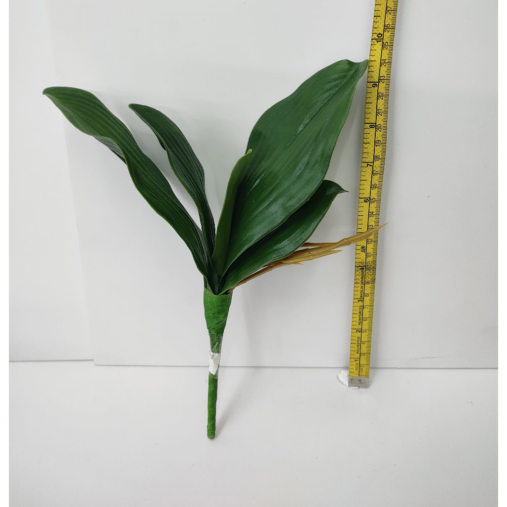 Daun daun okid orchid jambak dekorasi bunga | Shopee Malaysia