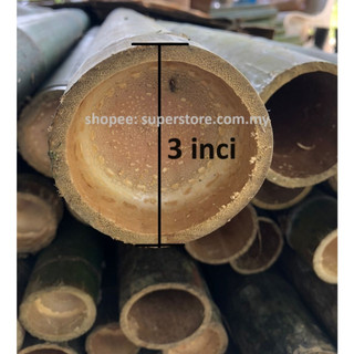 Buluh Belum Belah 6 kaki/Buluh Bulat/Bamboo Stake/Buluh Pancang/Bamboo ...