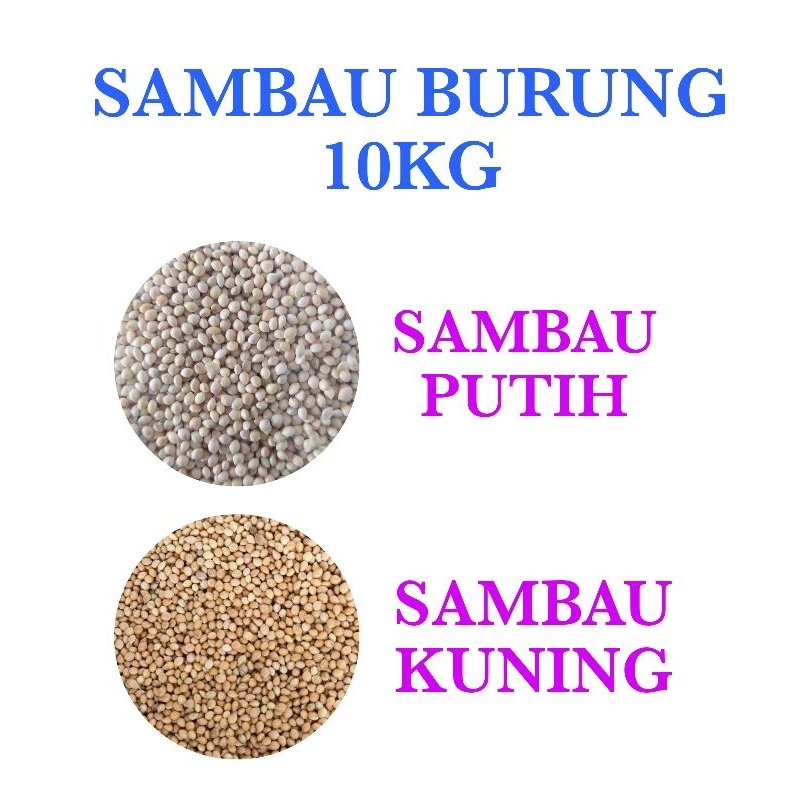 MAKANAN BURUNG SAMBAU PUTIH 10KG/SAMBAU KUNING 10KG | Shopee Malaysia